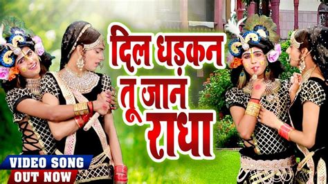 दिल की धडकने तेज कर देगा राधा कृष्ण का प्यारा भजन। दिल धड़कन तू जान