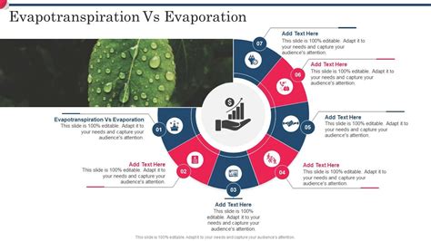 Evapotranspiration Vs Evaporation Ppt Sample Cpp Ppt Powerpoint