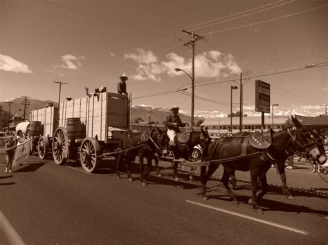 A Snapshot Of Mule Days In Bishopca One Of The Largest Non Motorized