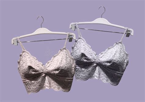 Lace Bras On A Hanger Underwear Stylish Lingerie Stock Image Image