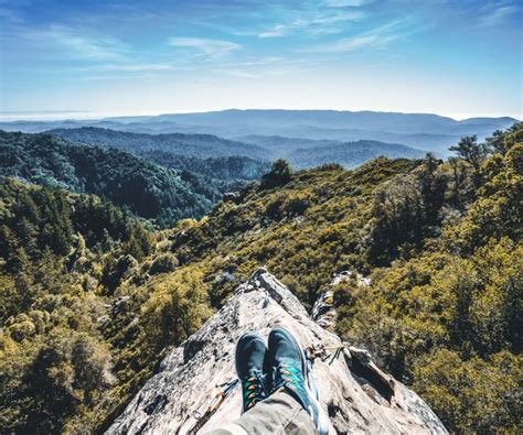 Learn Algorithmic Trading And Python Immersive Course And Mentorship