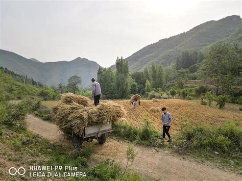 今天的輝縣市拍石頭鄉瓦窯村丨你來過嗎 每日頭條