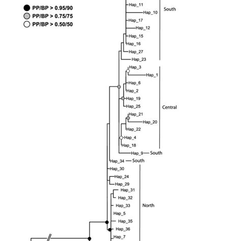 Bayesian Inference BI And Maximum Likelihood ML Topology