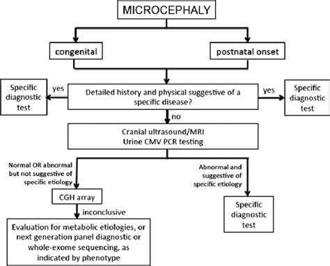 Figure A Diagnostic Approach To Evaluating The Neonate With
