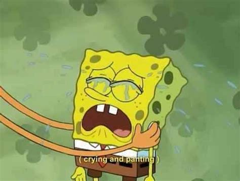 Download Holding Spongebob Crying Wallpaper