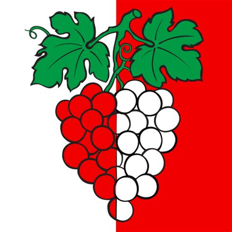 Gemeinde Pully Vd Nützliche Informationen Für Sie