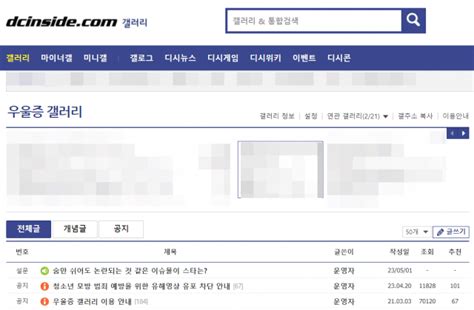 우울증갤러리 폐쇄 안한다자율규제 강화 결론 서울경제