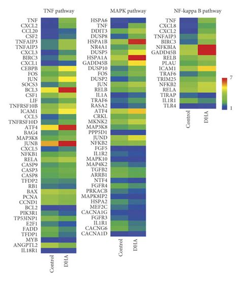Significant Pathways Involving In Proliferation Inhibition Of MHCC97 L