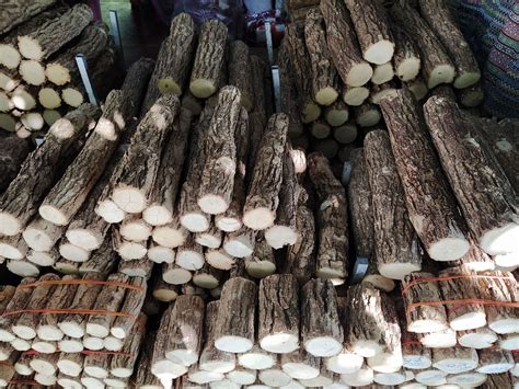 မကွေးသနပ်ခါးဈေးကွက်အတွင်း သနပ်ခါးအရောင်းအဝယ်ကောင်းပြီး ဈေးကောင်းရရှိ Myawady Webportal