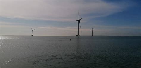 Hpd Testing During Pandemic Time