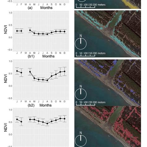 cartesian diagrams on the left of ndvi values with average ± standard