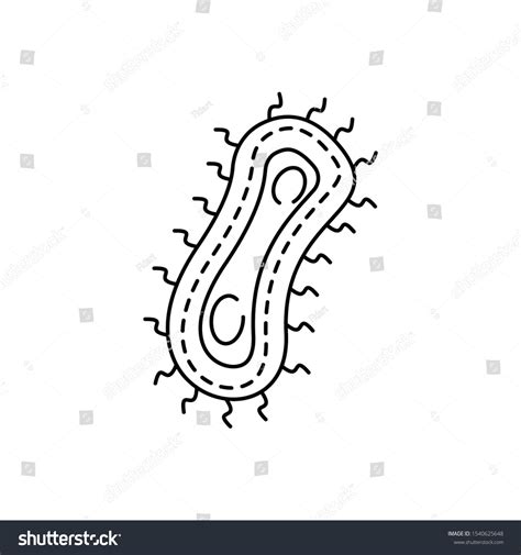 Coccus Bacteria Education Line Icon On Stock Vector Royalty Free