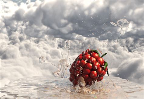 Download Raspberry Fruit Water Royalty Free Stock Illustration Image