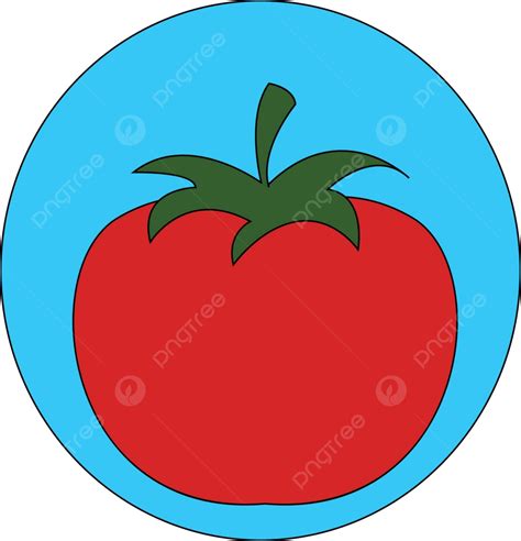 A Big Tomato Vector Or Color Illustration Plant Tomato Food Vector