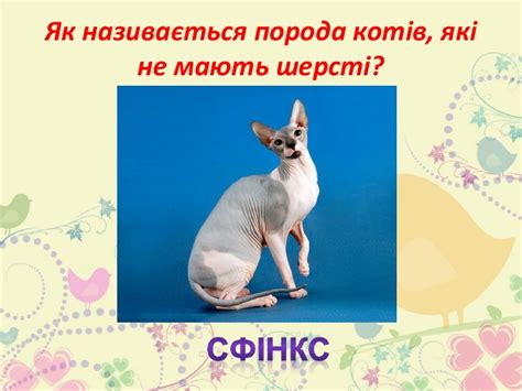 Презентація День захисту тварин