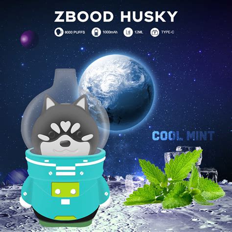 Zbood Oem Odm Space Husky 8000 Puff Uae 1000puffs Sfog G8 Vitamin Vnsn
