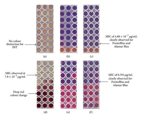 Comparison Of Different Growth Indicators On Oral Microorganisms A