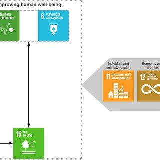Conceptual Framework For The Interactions Of Sustainable Development
