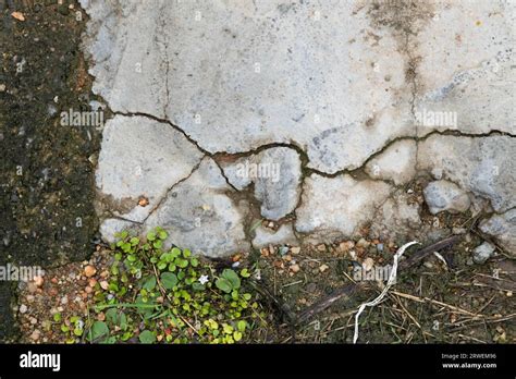 Grunge Cement Concrete Walls Or Floors With Crack Abstract Background