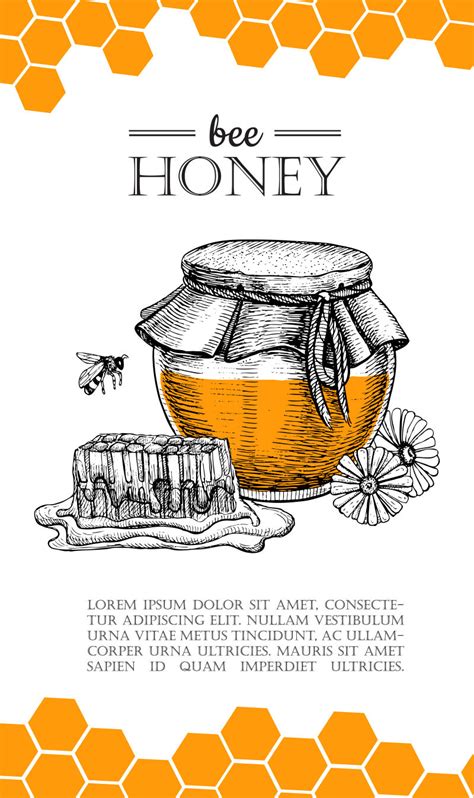 矢量蜜蜂插图图片 矢量老式蜂蜜手绘插图素材 高清图片 摄影照片 寻图免费打包下载