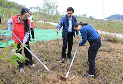 良口镇开展2023年全民义务植树暨五级林长植树活动