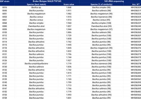Genus Level Concordant Identifi Cations Between Maldi Tof Ms And 16s Download Scientific