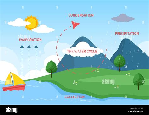 Water Cycle Of Evaporation Condensation Precipitation To Collection In Earth Natural