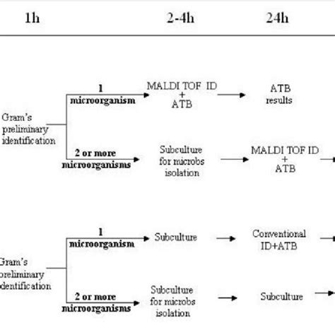 Maldi Ionization System Download Scientific Diagram