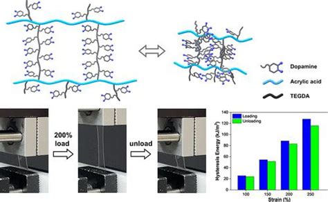 基于多巴胺改性交联剂的高弹性双交联水凝胶粘合剂 Acs Applied Materials And Interfaces X Mol