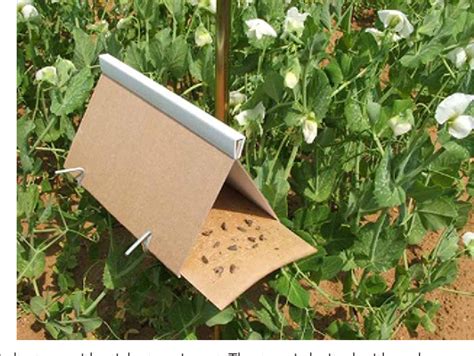 Figure 1 from Advances in monitoring of native and invasive insect pests of crops | Semantic Scholar