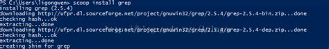 Scoop在windows平台上进行环境快速部署scoop Install Local Csdn博客
