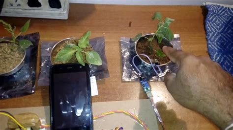 Automatic Irrigation System Using Dual Sensors With Microcontroller At89s52 Svsembedded