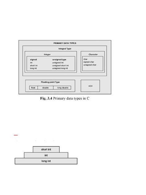 Primary Data Types Pdf Integer Computer Science Data Type