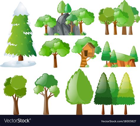 Different Types Trees Royalty Free Vector Image