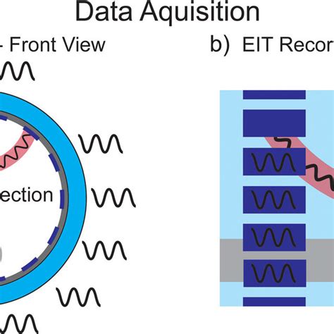 Schematic Of A Single Recording Of Eit Data From An Injection Pair In Download Scientific