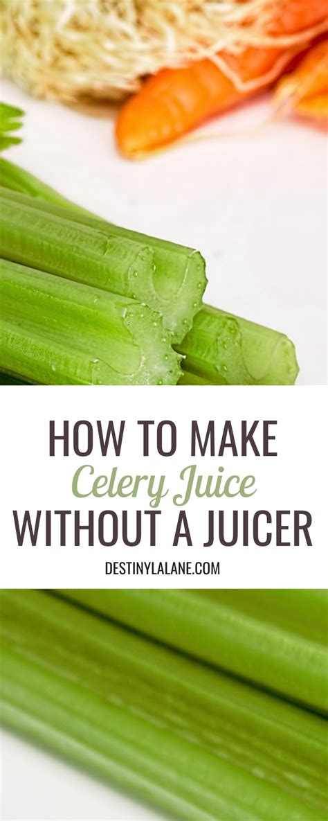How To Make Celery Juice Without A Juicer Simple Easy Clean Destiny Lalane