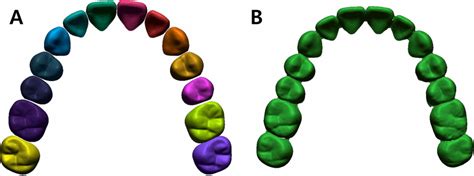 Development Of The Statistical Shape Model Ssm Ssm Of The Individual