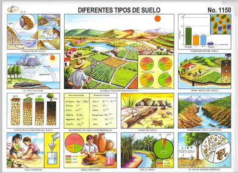 Diferentes Tipos De Suelo