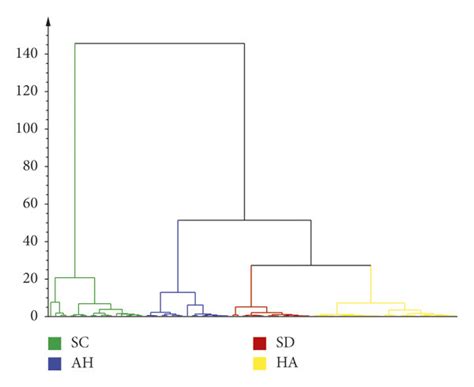 The Clustering Analysis Of 120 Batch S Miltiorrhiza Samples