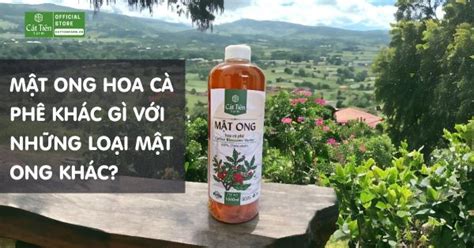 Mật Ong Hoa Cà Phê Khác Gì Với Những Loại Mật Ong Khác Cát Tiên Farm