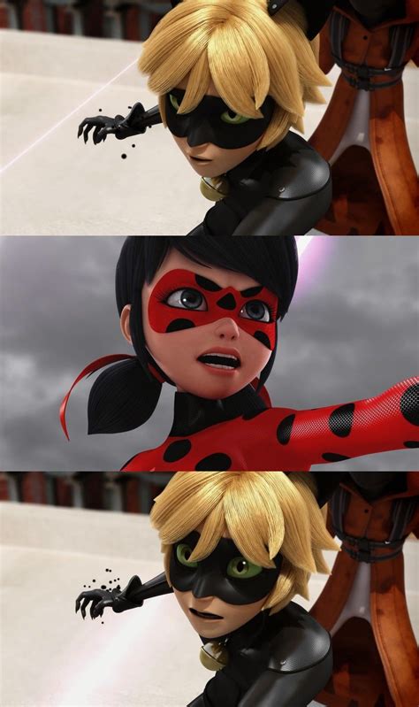 Ladybug Wiki Miraclous Ladybug New York Galleries Beautiful Sea