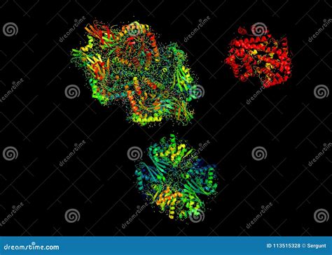 3D Model Of A Protein Molecule Stock Illustration Illustration Of