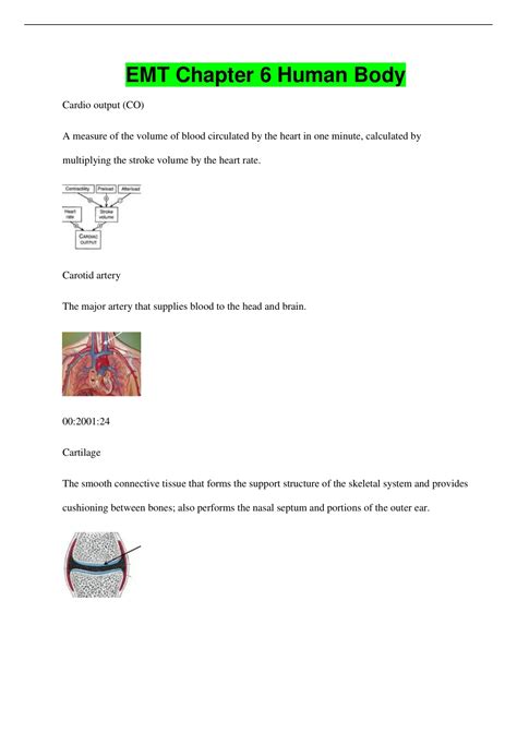Emt Chapter 6 Human Body Med Stuvia Us