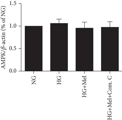 Impacts Of Compound C And Sirt1 Sirna On The Melatonin Stimulated