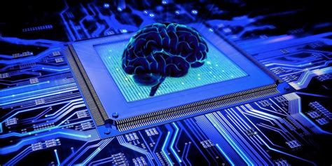 Differenza Tra Cervello E Computer In Tecnologia Informatica E