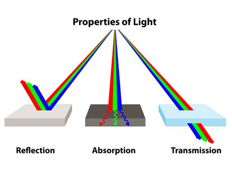 Laws Of Reflection — Lesson Science State Board Class 8