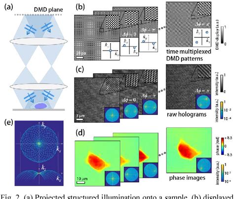 Figure From Multimodal Approach Combining Optical Diffraction Tomography And Three Dimensional