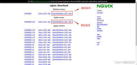 Windows下安装Nginx 详解 windows安装nginx CSDN博客
