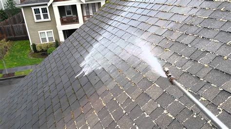Softwash Roof Cleaning By Lakeview Window Cleaning Youtube