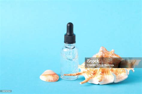 드롭퍼 투명 유리 화장품 병 모의 와 파란색 배경에 조개 친환경 케어 유기농 제품 뷰티 트리트먼트 스파 컨셉 공간을 복사합니다 0명에 대한 스톡 사진 및 기타 이미지